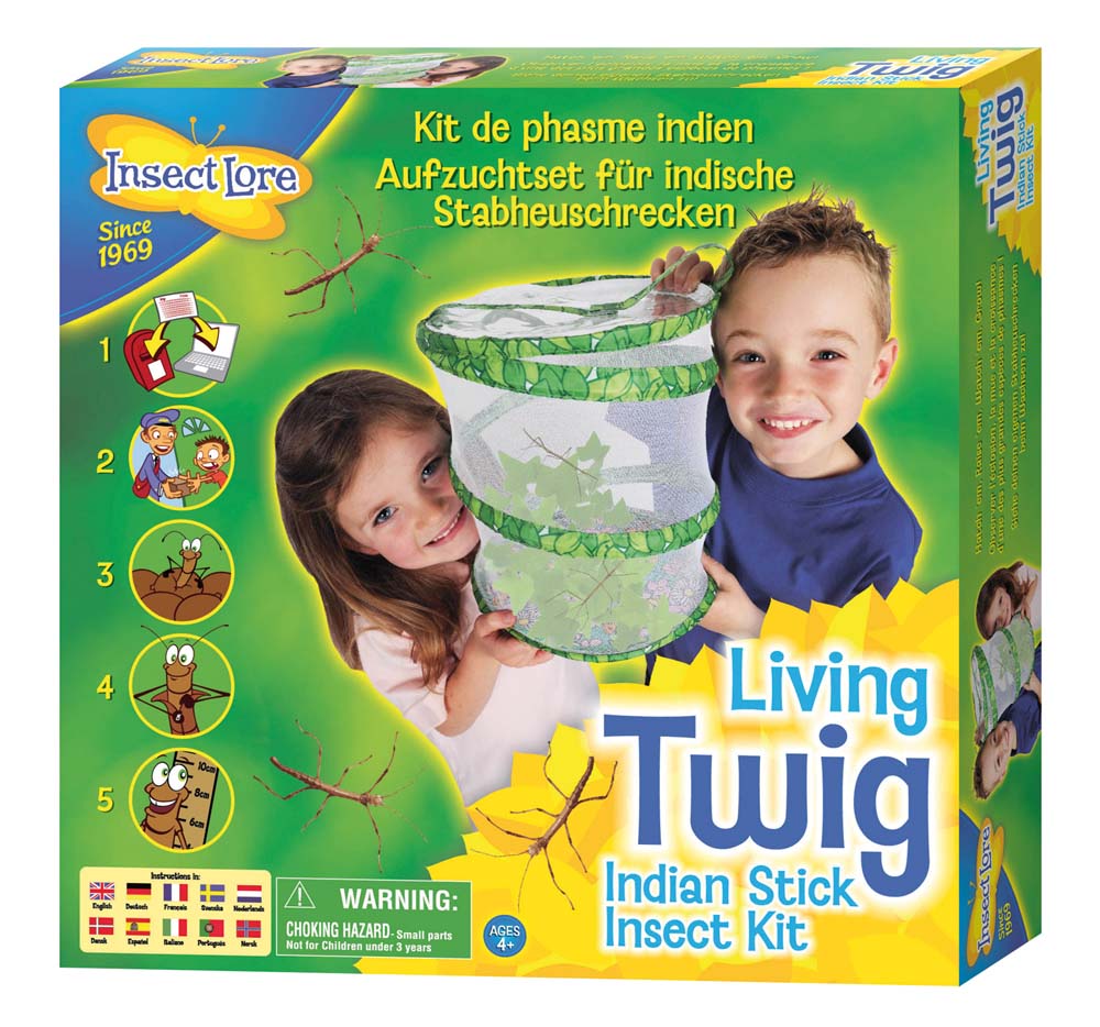 Stick Insect Kit, Indian Stick Insects – Wooden Toy Shop